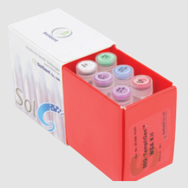 Isothermal Amplification System